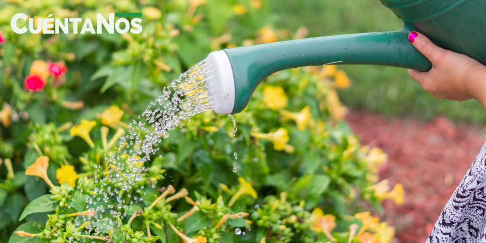 ¿Cómo hacer buen uso del agua? - Cuentanos El Salvador